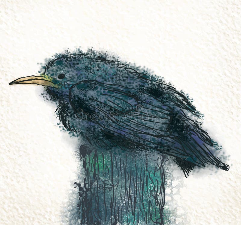 Piccolo merlo illustrazione vettoriale. Illustrazione di piume - 55150962