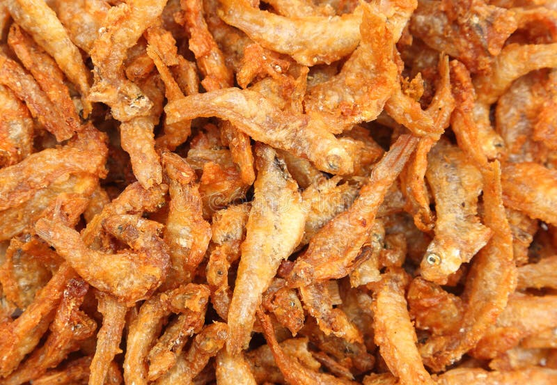Piccolo pesce fritto fotografia stock. Immagine di asia - 32508062
