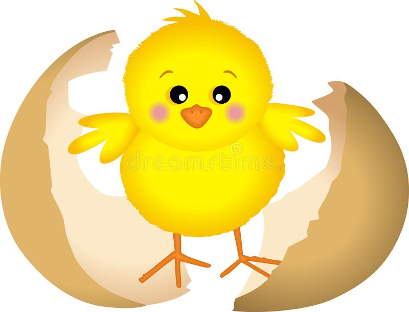Pulcino appena nato illustrazione di stock. Illustrazione di grasso ...