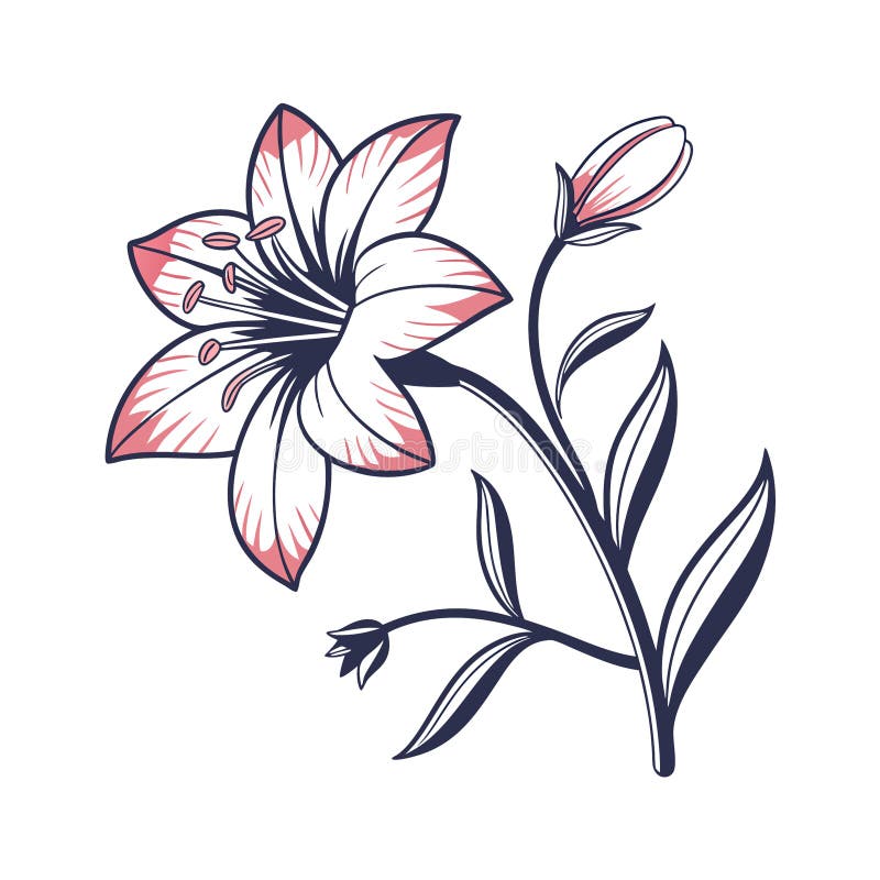 Pick-a-Boo Flower Illustration with Bold Outline Stock Photo ...