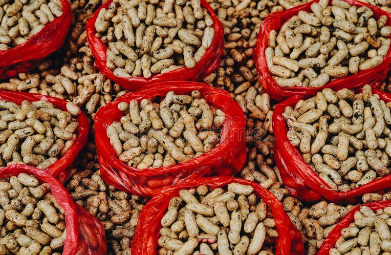 Pick me Nuts stock photo. Image of beauty, food, peanuts - 73861958