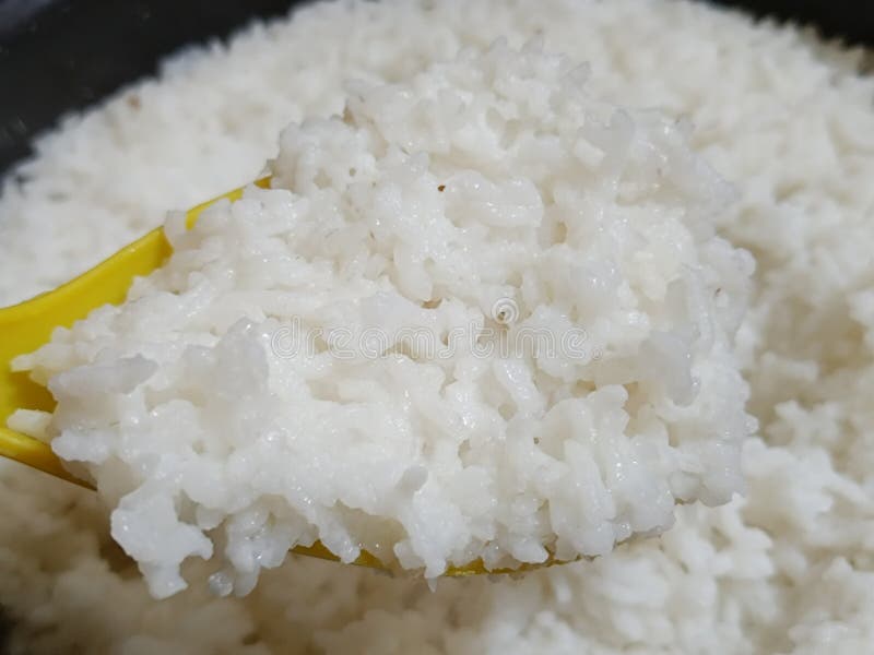 Pick Up Rice Using a Bucket with Selective Focus Stock Photo - Image of ...