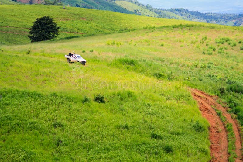 Pick up truck in the field stock image. Image of green - 78110187