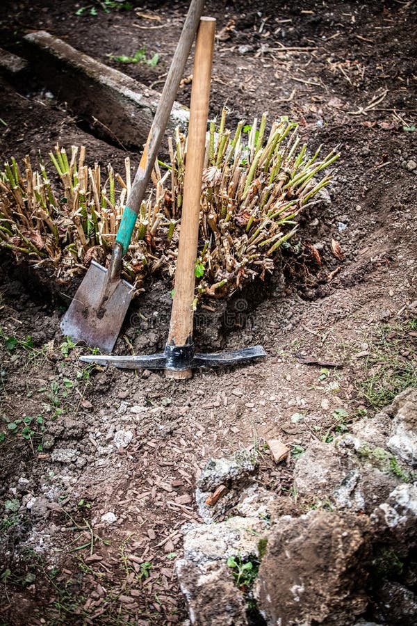 A Pickaxe and a Spade in the Garden Stock Image - Image of outdoor ...