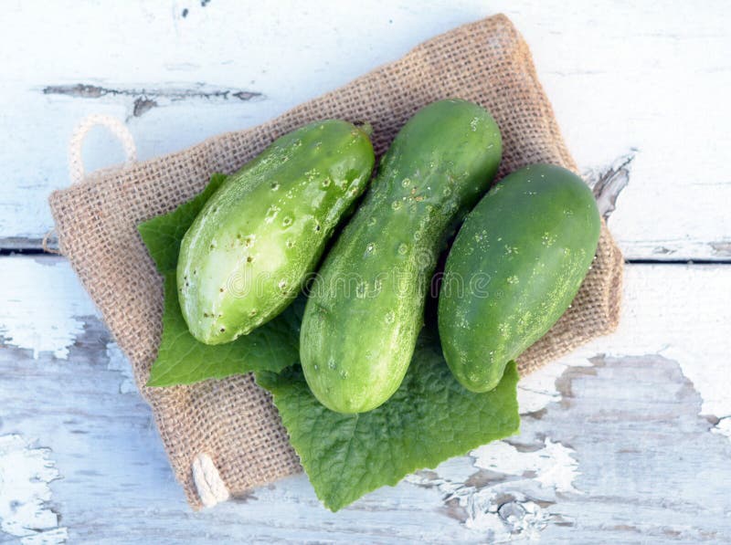 Pickel stock photo. Image of pickel, vegetable, summer - 58733188