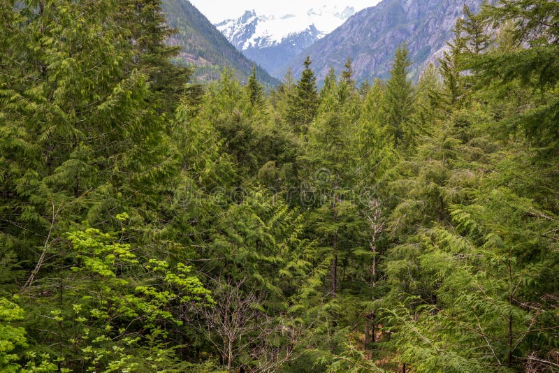 The Picket Range at North Cascades National Park in Washington State ...