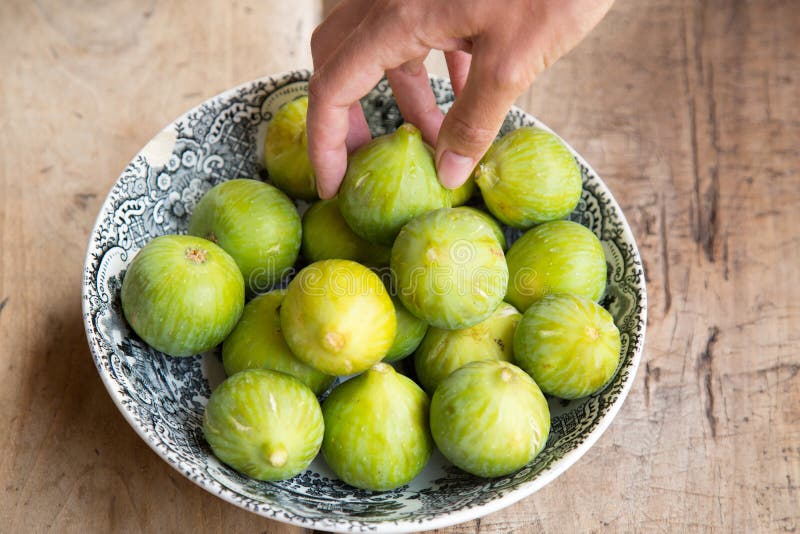 Picking figs stock image. Image of food, juicy, fruit - 59071365