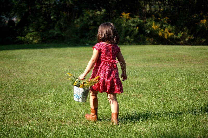 Picking Flowers stock photo. Image of child, hiking, outdoors - 1815970