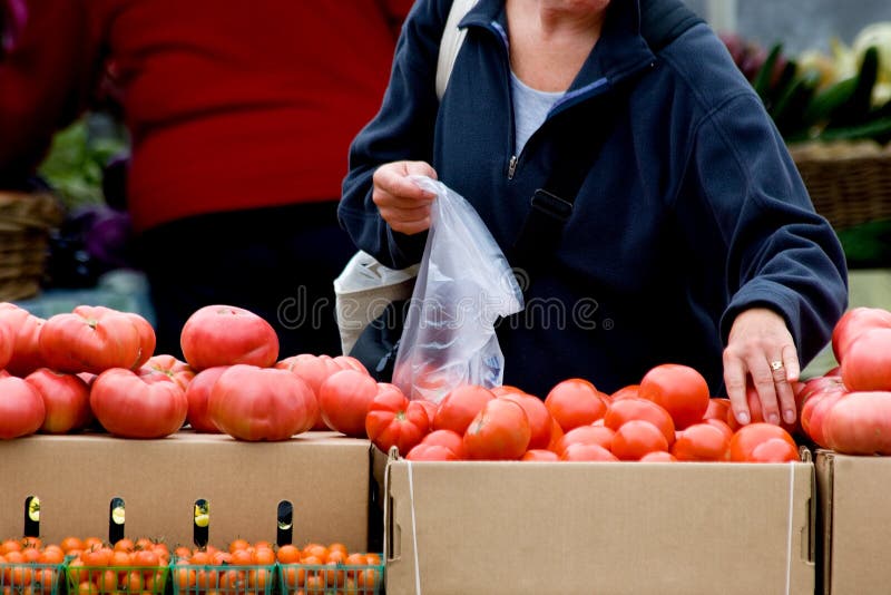 Picking fresh vegetables stock image. Image of choosing - 3739353