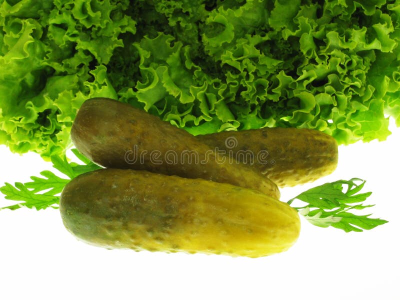 Pickle stock photo. Image of slice, green, side, vegetable - 148172