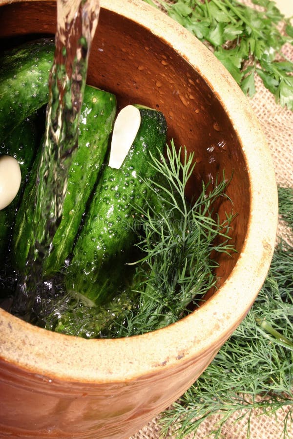 Pickle stock photo. Image of slice, green, side, vegetable - 148172