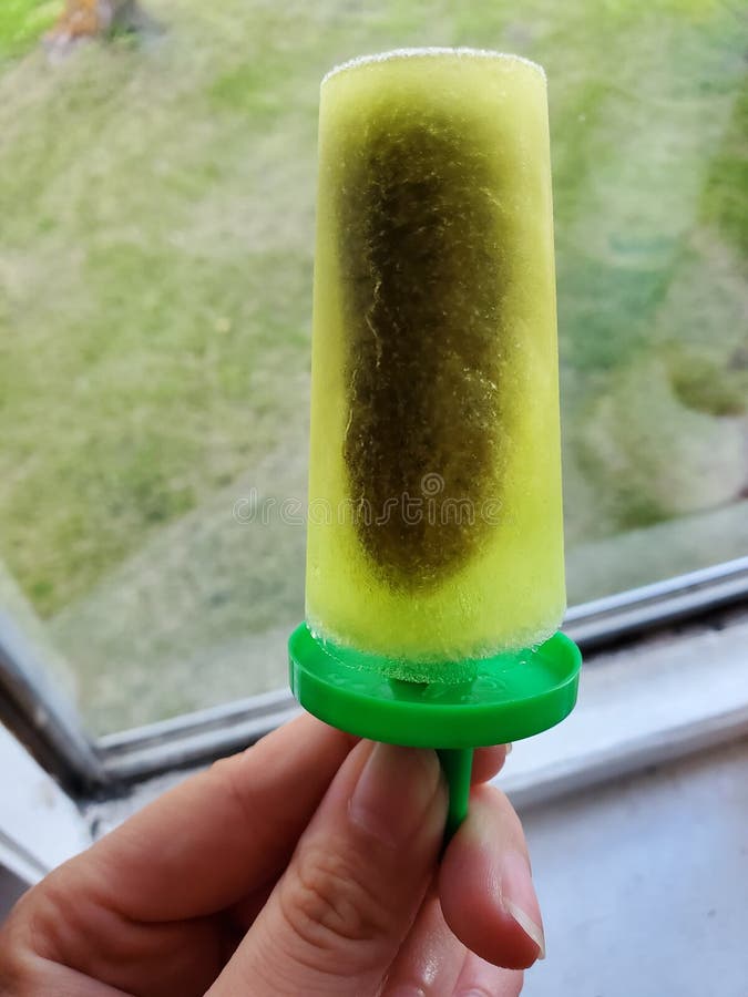 Pickle juice popsicle stock image. Image of food, plant - 192289265