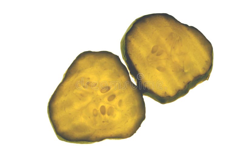 Pickle Slices stock photo. Image of food, tasty, butter - 1115120