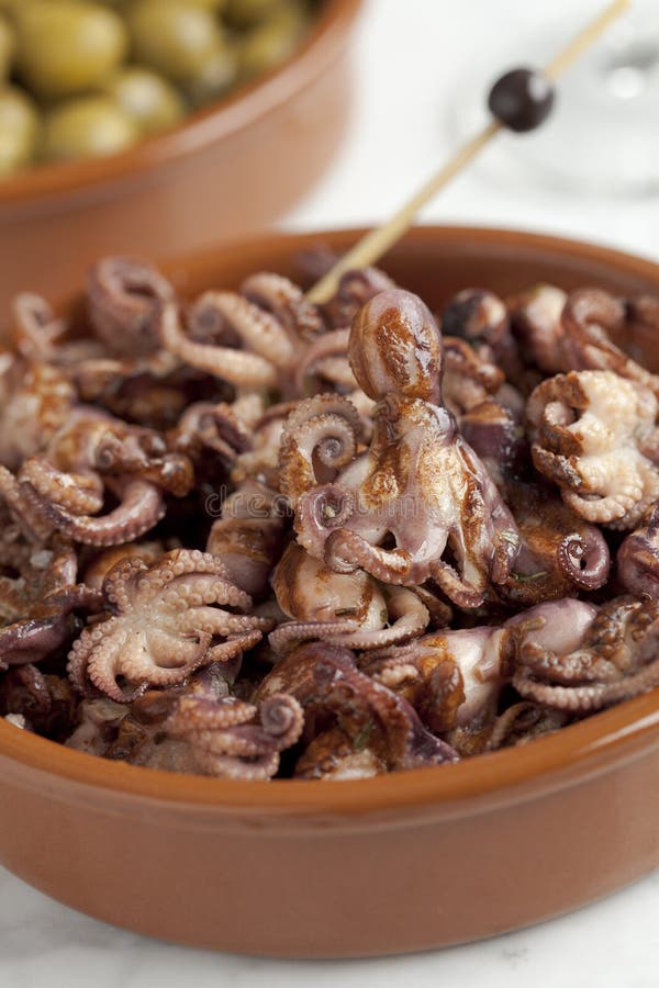 Pickled baby octopus stock photo. Image of cuttlefish - 42783006