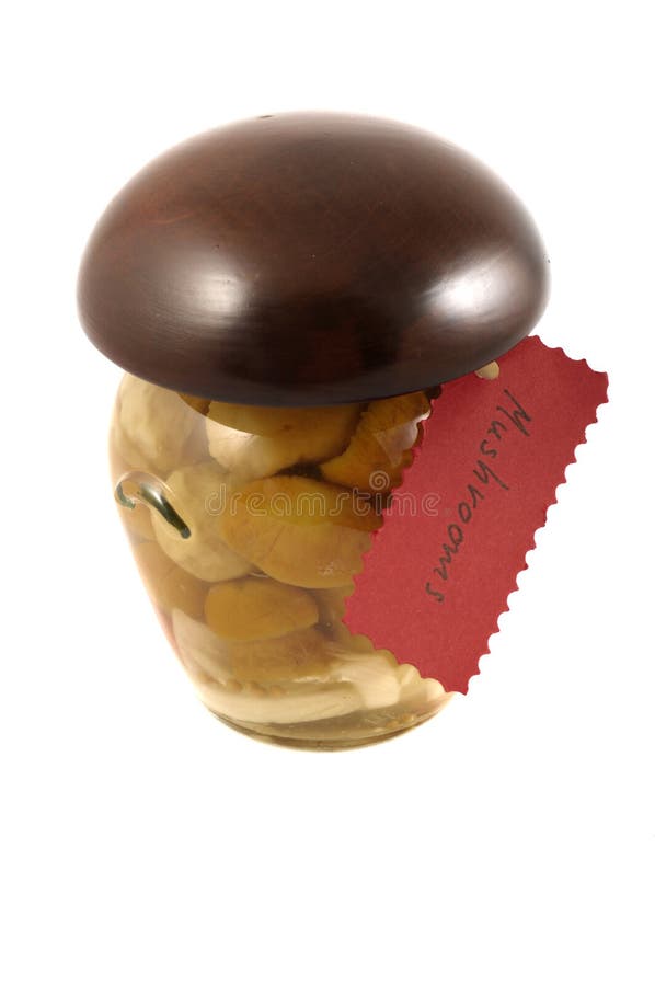 Pickled bolete stock image. Image of bolete, mushroom - 12373209