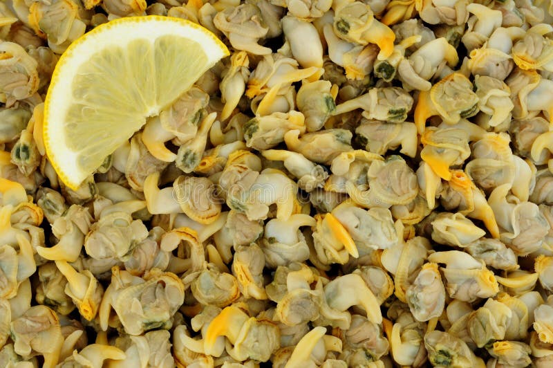 Pickled cockles background stock image. Image of preserved - 165632253