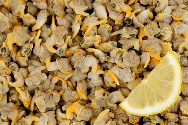 Pickled Cockles On A Cocktail Stick Stock Image - Image of crustacean ...