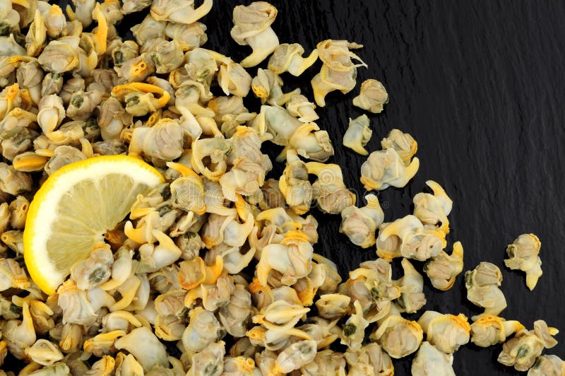 Pickled Cockles On A Cocktail Stick Stock Image - Image of crustacean ...