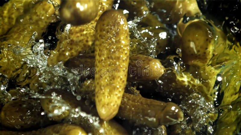 Pickled Cucumbers Fall with Splashes. Filmed on a High-speed Camera at ...