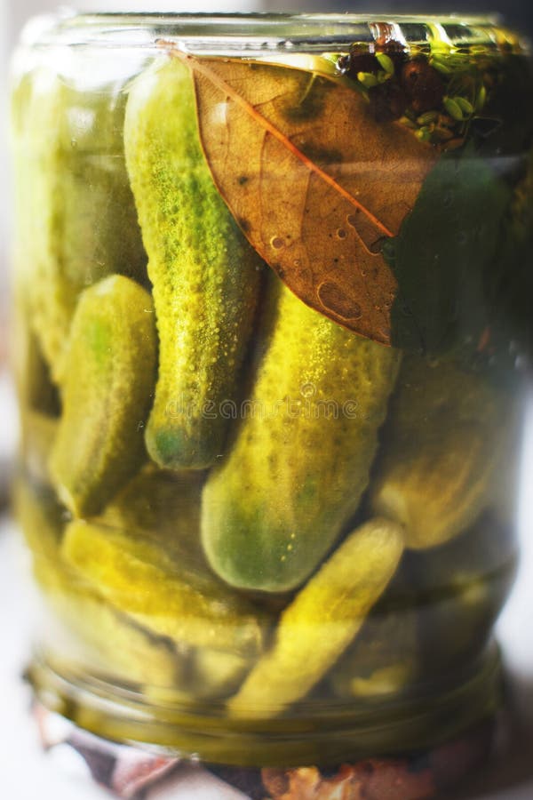 Pickled Cucumbers in a Glass Jar. Inverted Jar with Cucumbers. Stock ...