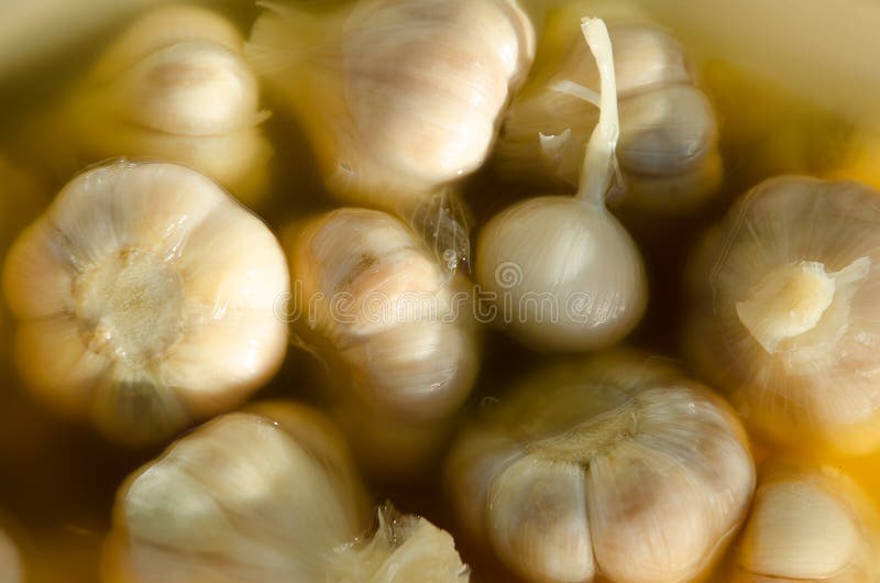 Pickled garlic stock image. Image of delicious, kitchen - 76012205