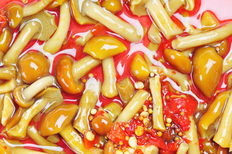 Pickled mushrooms. stock image. Image of vegetarian, mushroom - 22098171