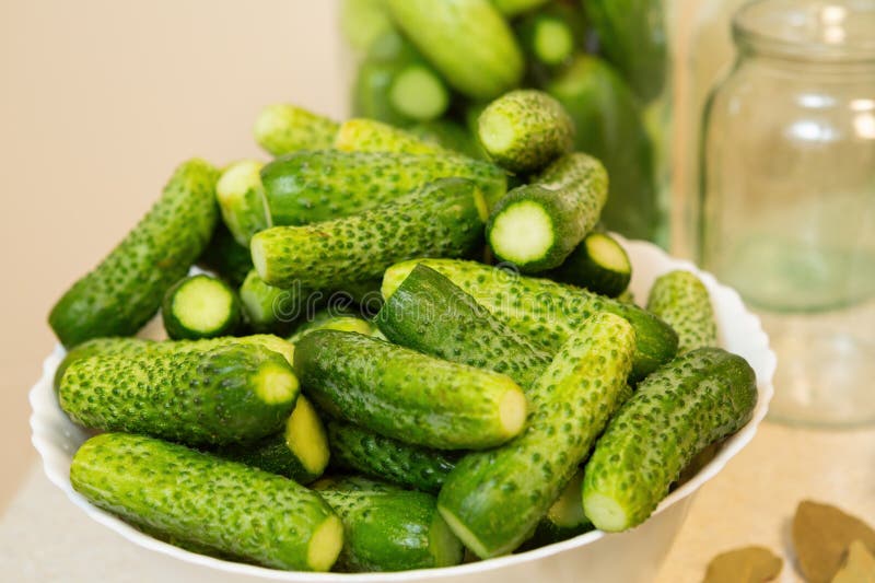 123 Well Stacked Woman Stock Photos - Free & Royalty-Free Stock Photos ...