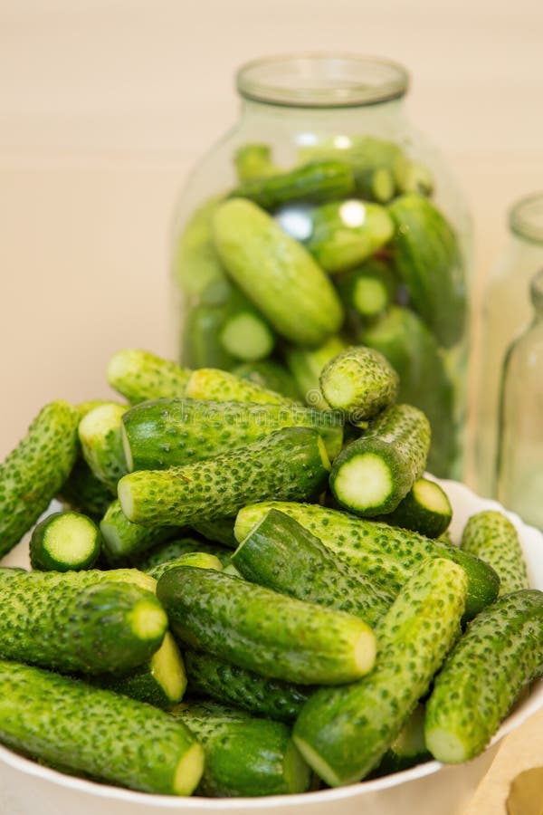 123 Well Stacked Woman Stock Photos - Free & Royalty-Free Stock Photos ...