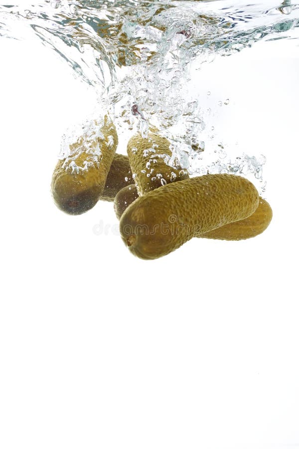 Pickles Falling into the Water Stock Image - Image of aqua, pickle ...