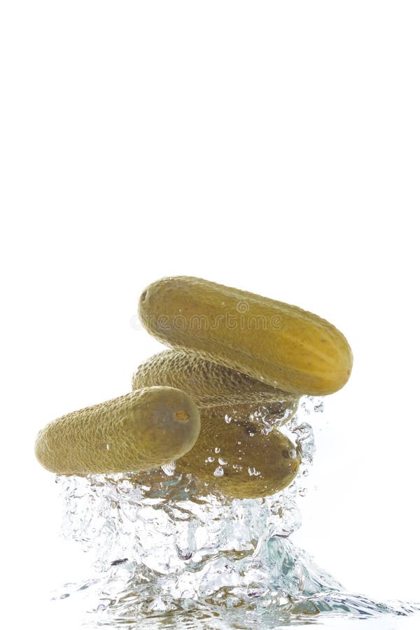 Pickles Jumping Out of the Water Stock Photo - Image of pickle, flying ...