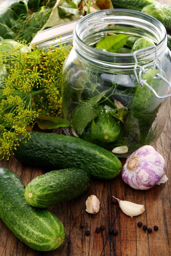 Pickling cucumbers. stock image. Image of ingredient - 25283215