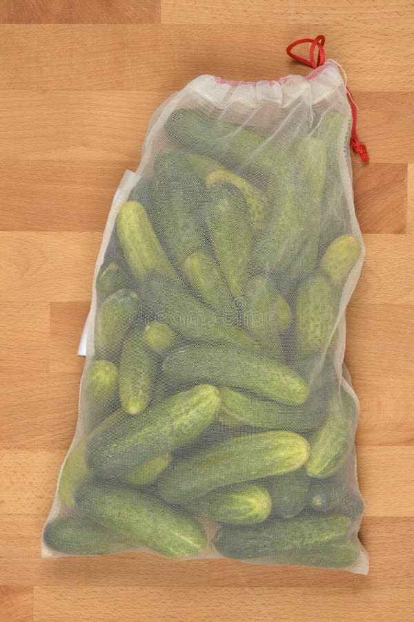 Pickling Cucumbers Inside a Reusable Mesh Bag Stock Image - Image of ...