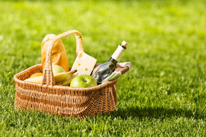 Picnic stock image. Image of dinner, field, park, green - 29602555