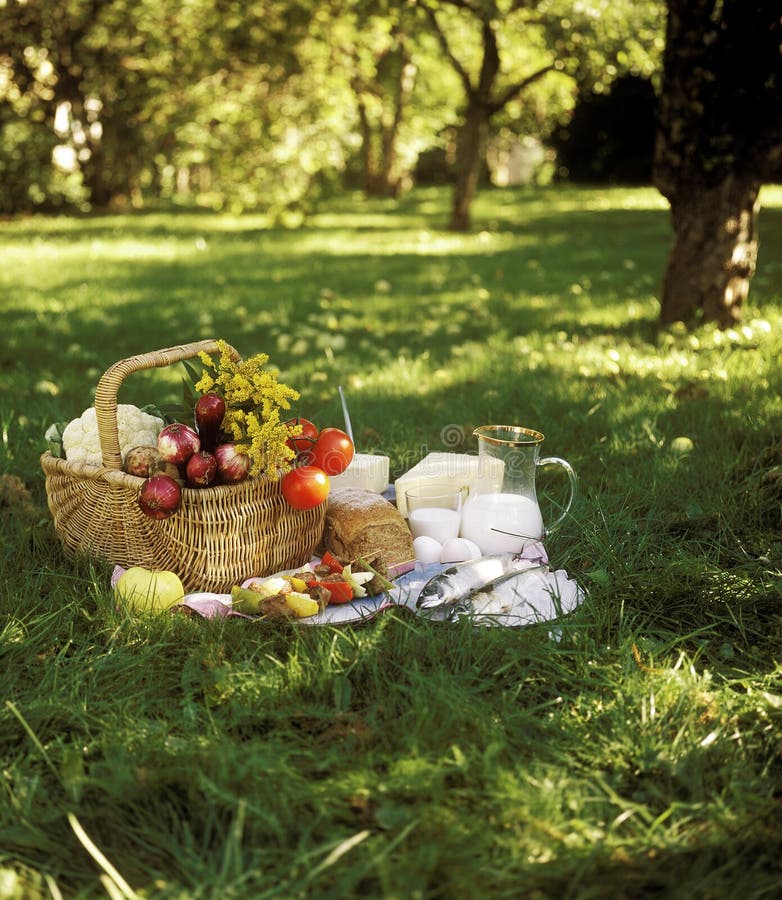 Picnic stock photo. Image of plate, food, group, closeup - 26766442