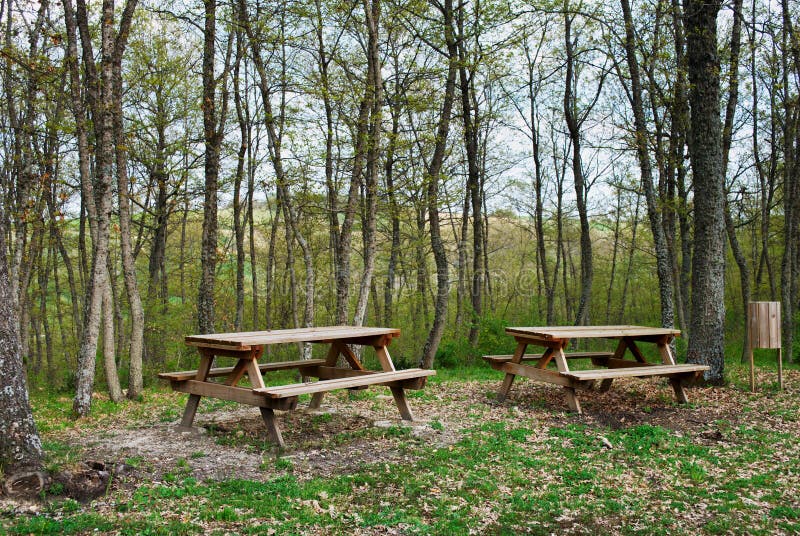 Picnic area stock photo. Image of outside, roof, grill - 2516138