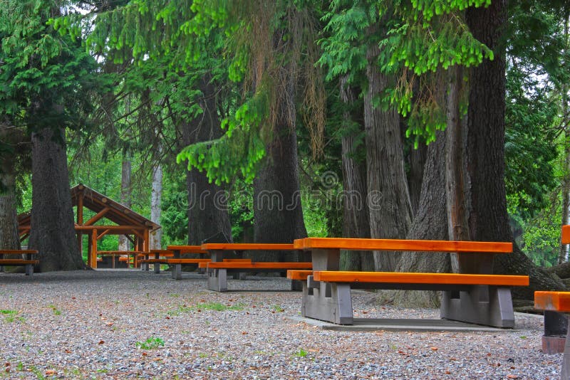 Picnic area stock image. Image of spruce, camping, area - 5471055