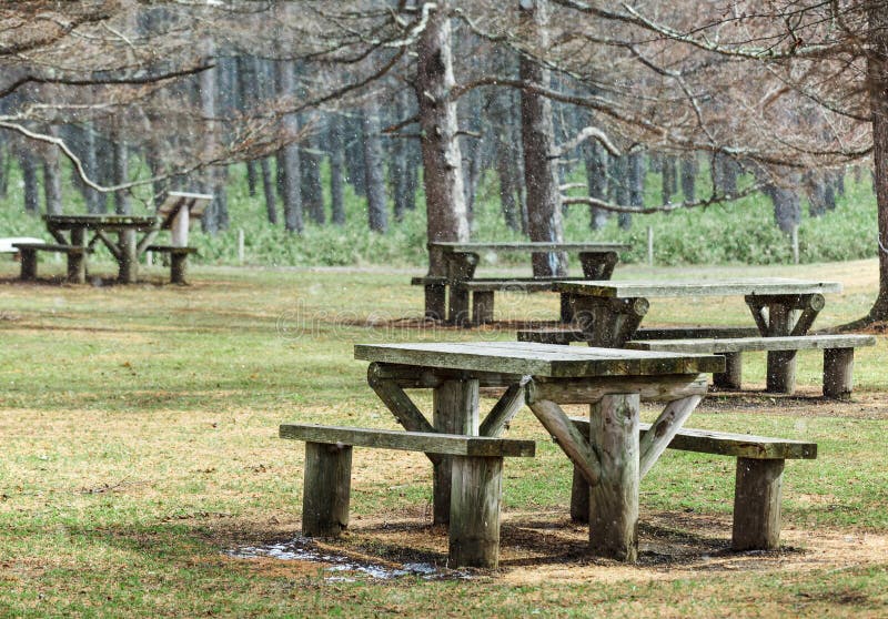 Picnic area in forest stock image. Image of table, scene - 33182621