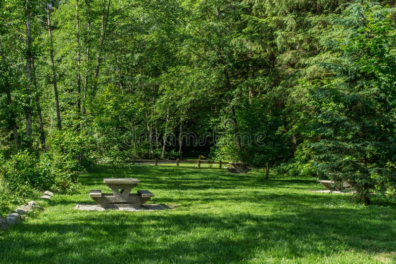 Picnic Area in Park with Table and Field Stock Image - Image of bench ...