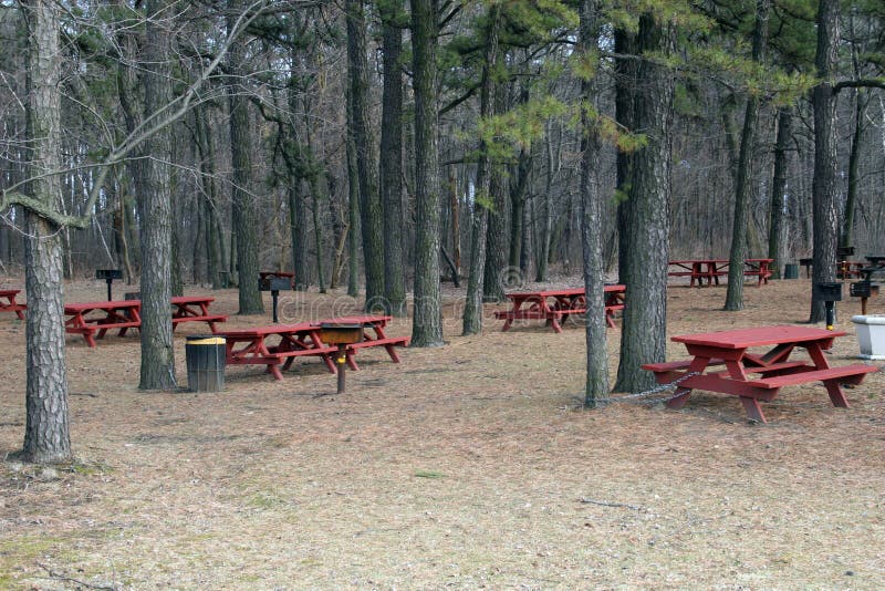 Forest Picnic Area stock photo. Image of camping, fall - 6067916