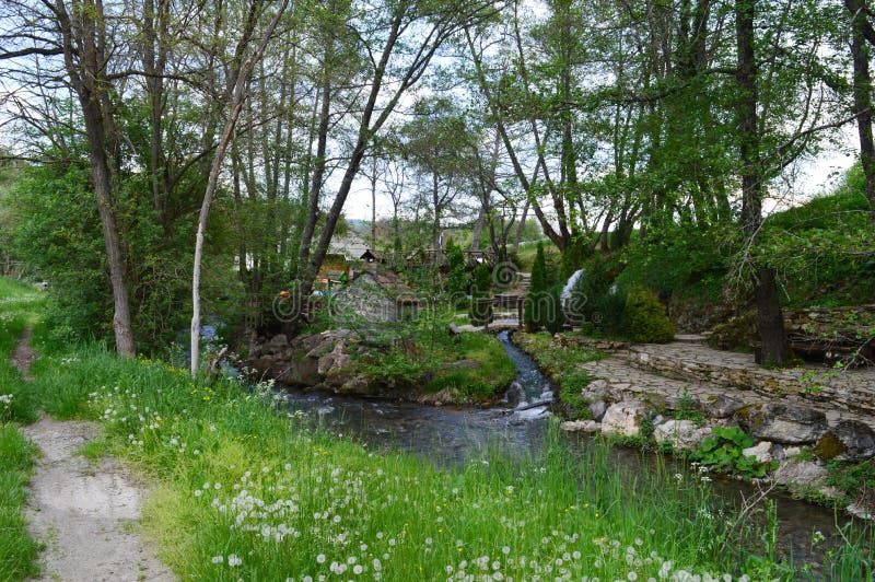Picnic area by the river stock photo. Image of grass - 252463292