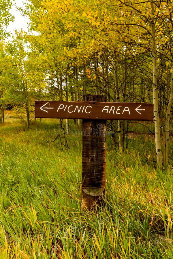 Picnic Area Sign in the Mountains Stock Photo - Image of yellow, tree ...