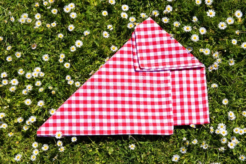Picnic cloth on meadow. stock photo. Image of relaxation - 11360884
