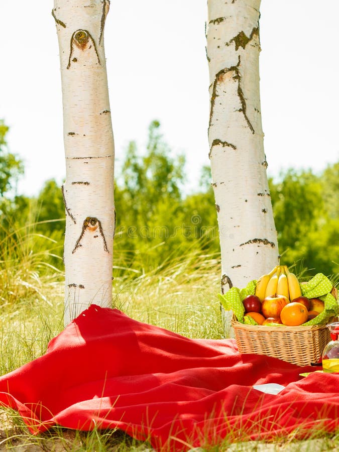 Picnic Basket on Blanket in Woods Stock Image - Image of blanket, trees ...