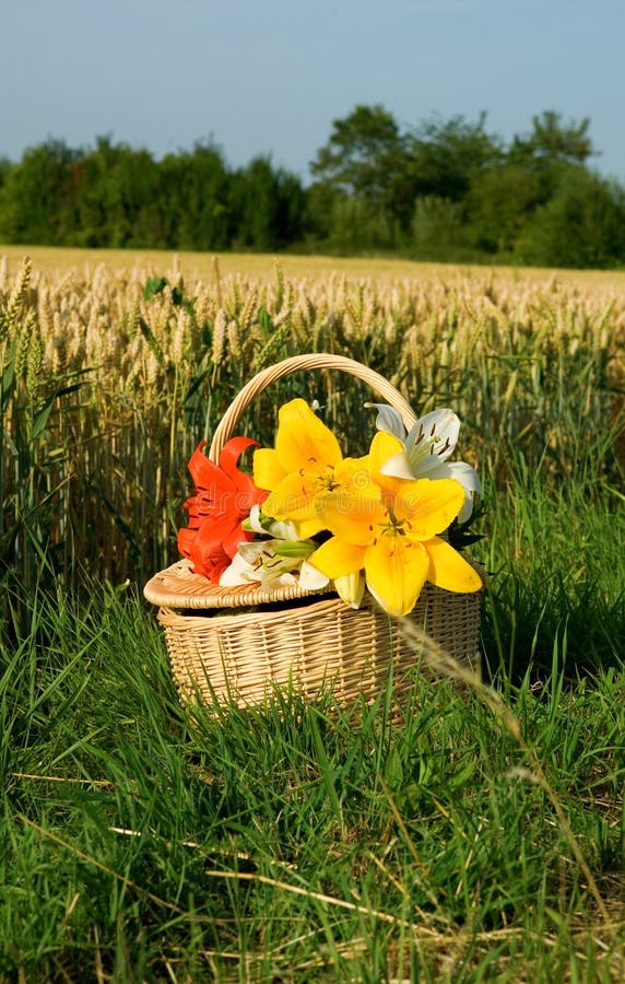 867 Non Traditional Flowers Stock Photos - Free & Royalty-Free Stock ...