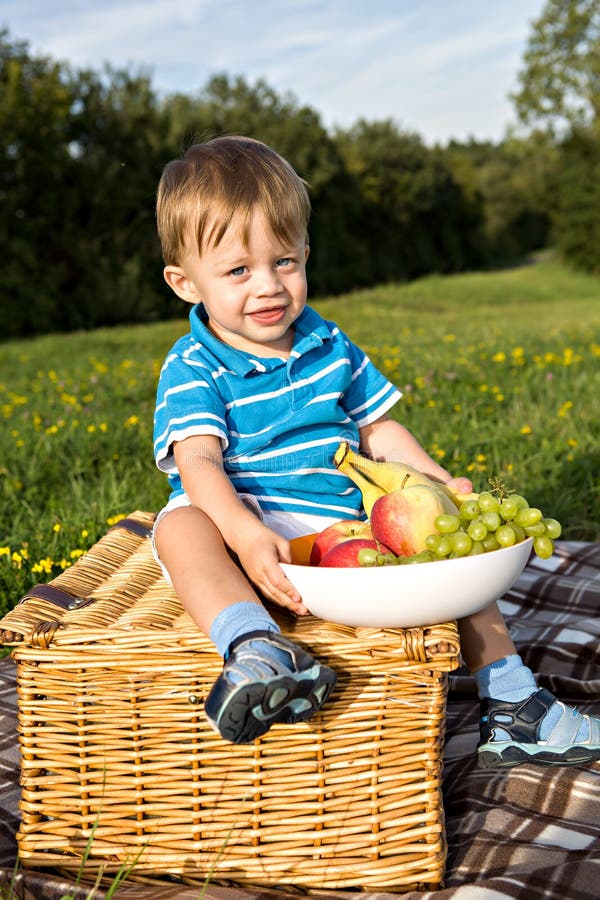 Picnic boy stock image. Image of childhood, grass, family - 26444525