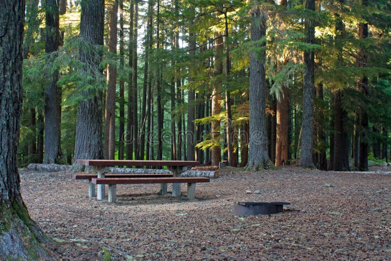Forest Picnic Area stock photo. Image of camping, fall - 6067916