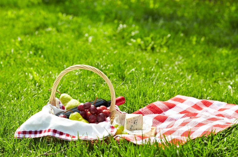Picnic time stock image. Image of france, glass, alcohol - 33012163