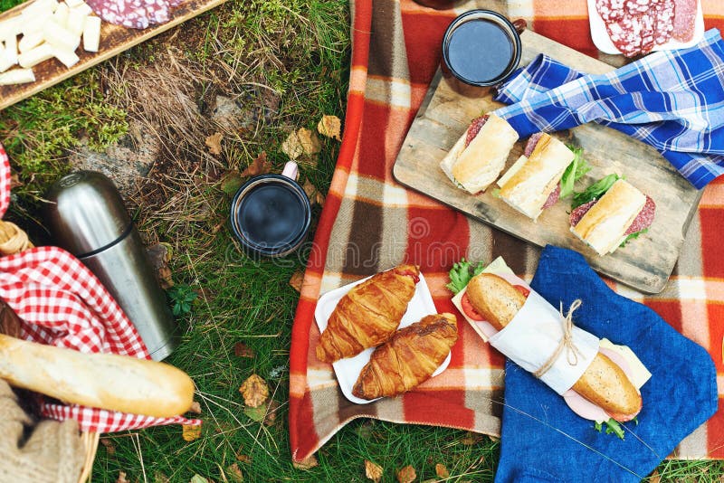 Picnic at forest stock image. Image of field, vacations - 77450091