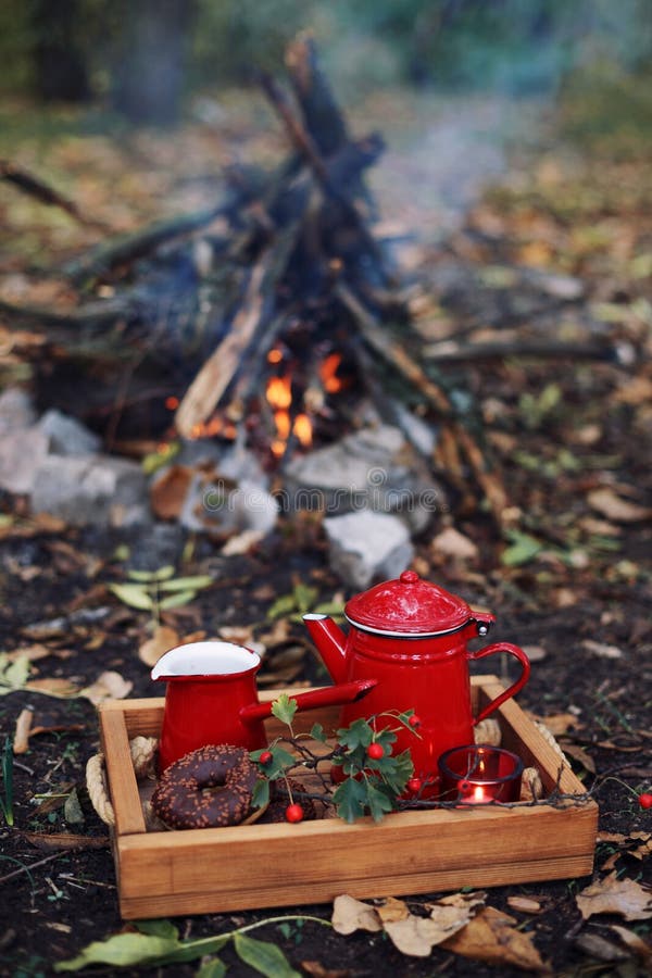 Picnic in the Forest. Tea and Donuts Stock Image - Image of chocolate ...