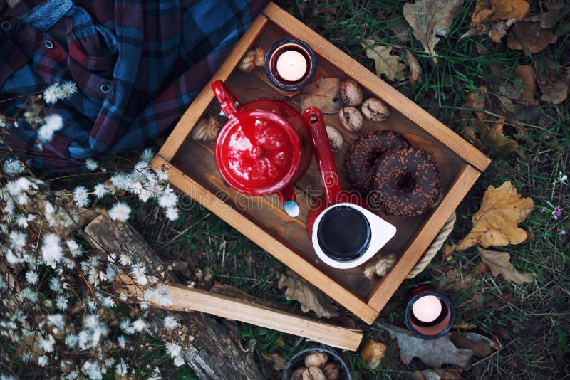 Picnic in the Forest. Tea and Donuts Stock Image - Image of decoration ...